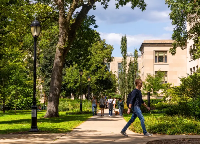 Professor Left the US Under Trump and Built a New Life Abroad - Zajel News